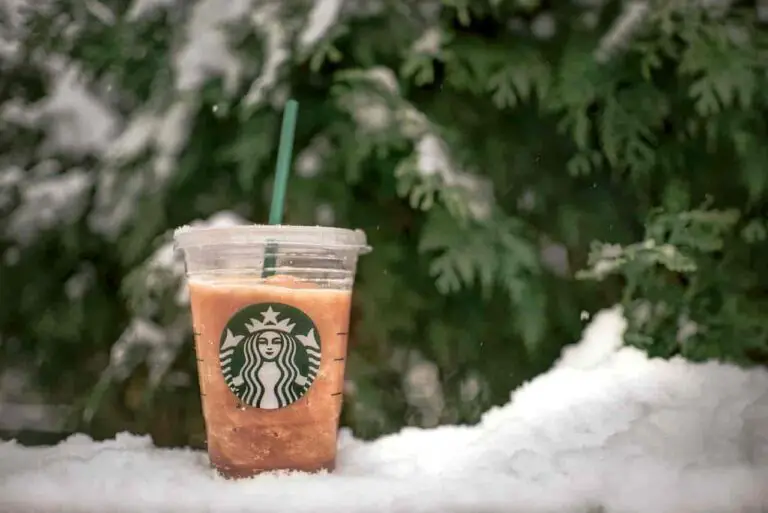 The 15 Best Starbucks Cold Drinks to Beat the Heat - Karma Coffee Cafe