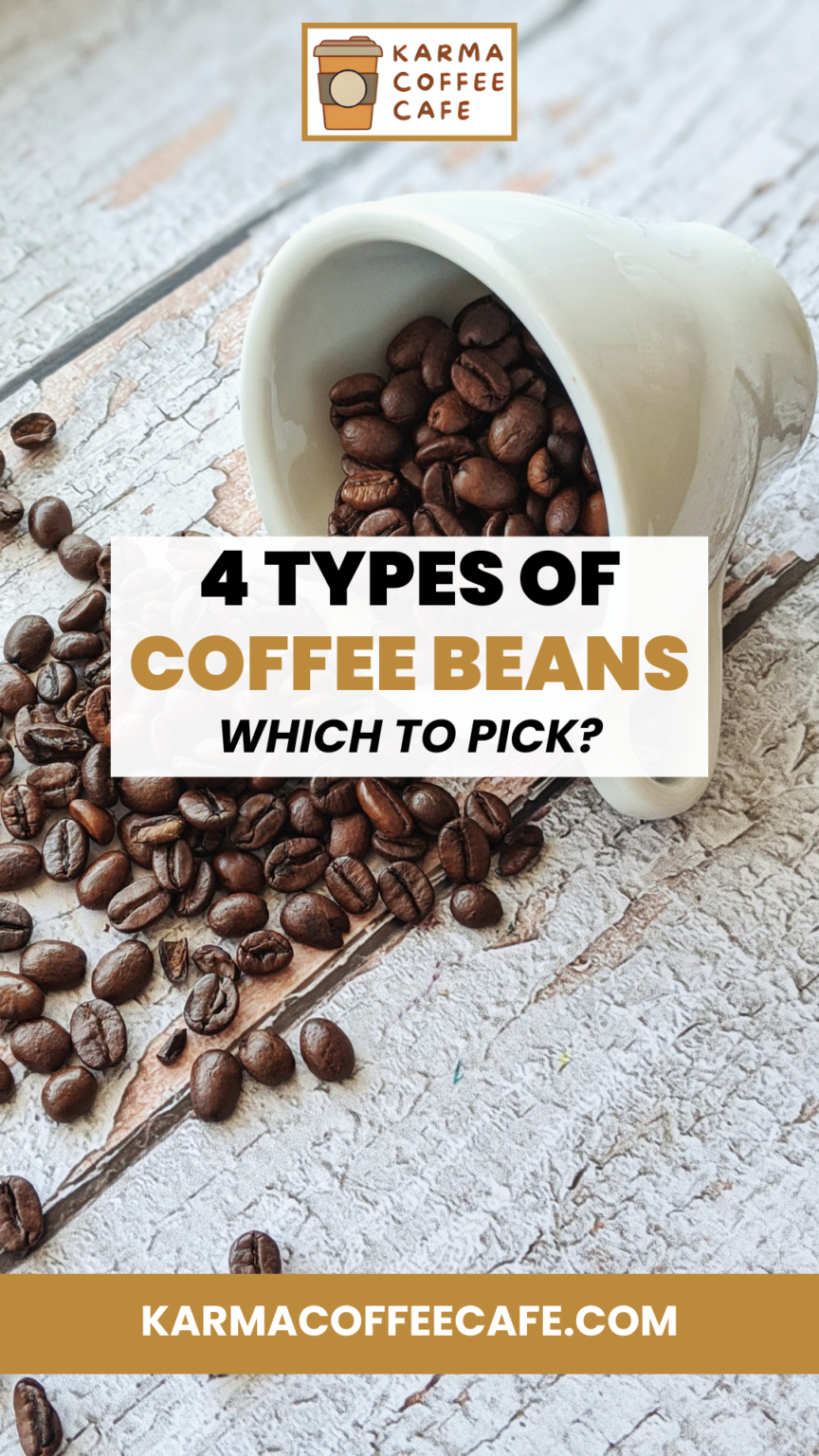 4 Types Of Coffee Beans And How To Choose Between Them