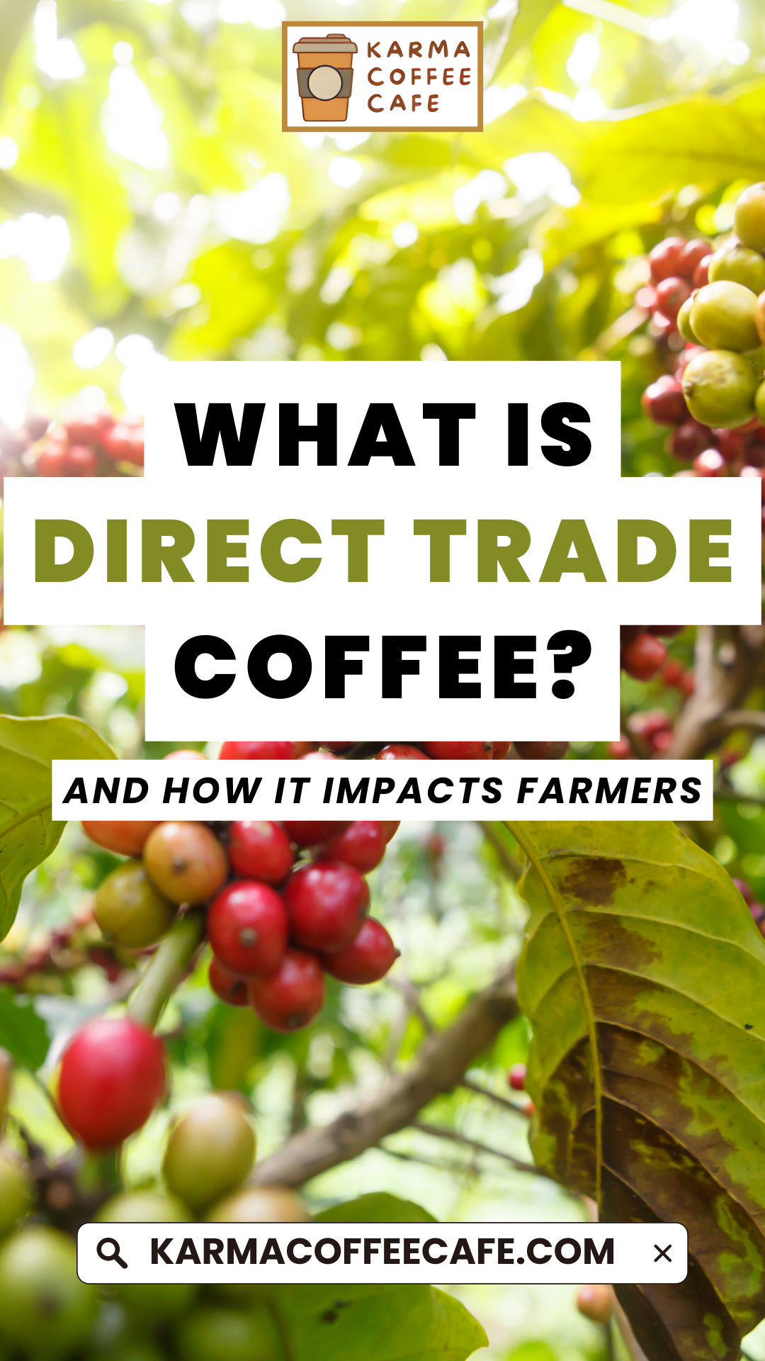What Is Direct Trade Coffee And Its Impact On The Industry?