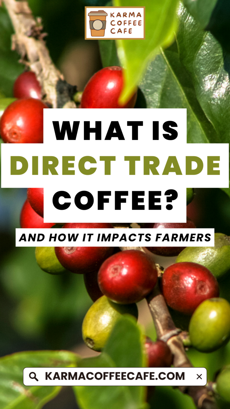 What Is Direct Trade Coffee And Its Impact On The Industry?
