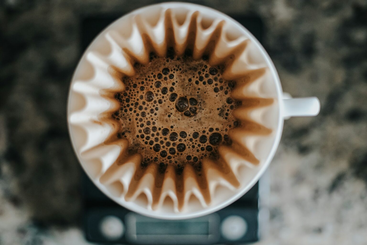 How to Brew Coffee in a Percolator: A Comprehensive Guide