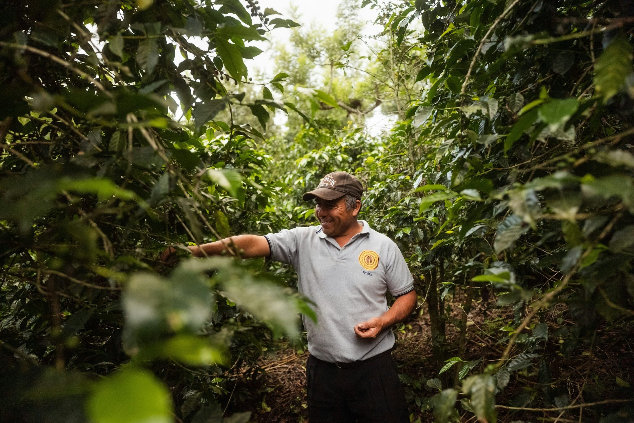 What Is Direct Trade Coffee And Its Impact On The Industry?