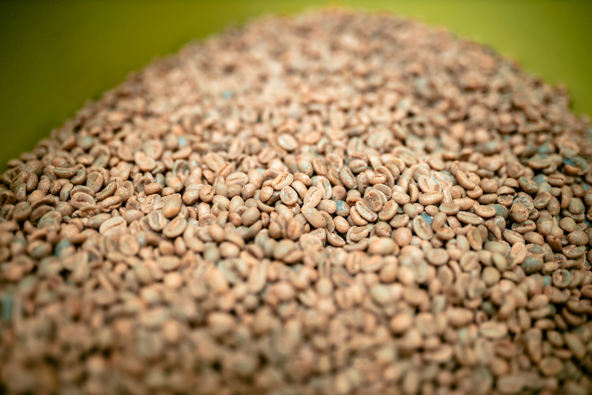 Heirloom Varieties of Coffee Beans: A Comprehensive Guide