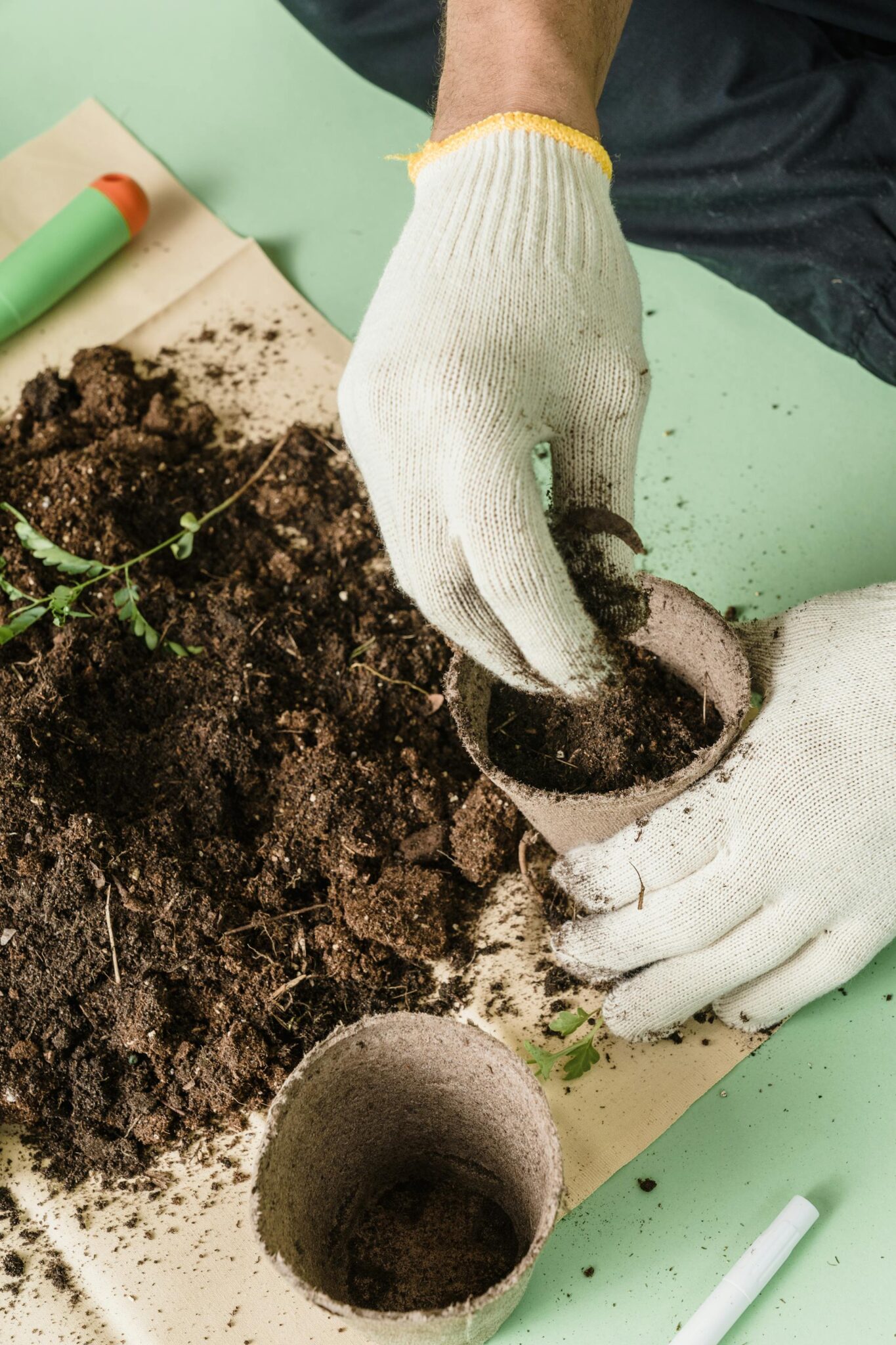 Are Coffee Grounds Good for Grass? - Karma Coffee Cafe