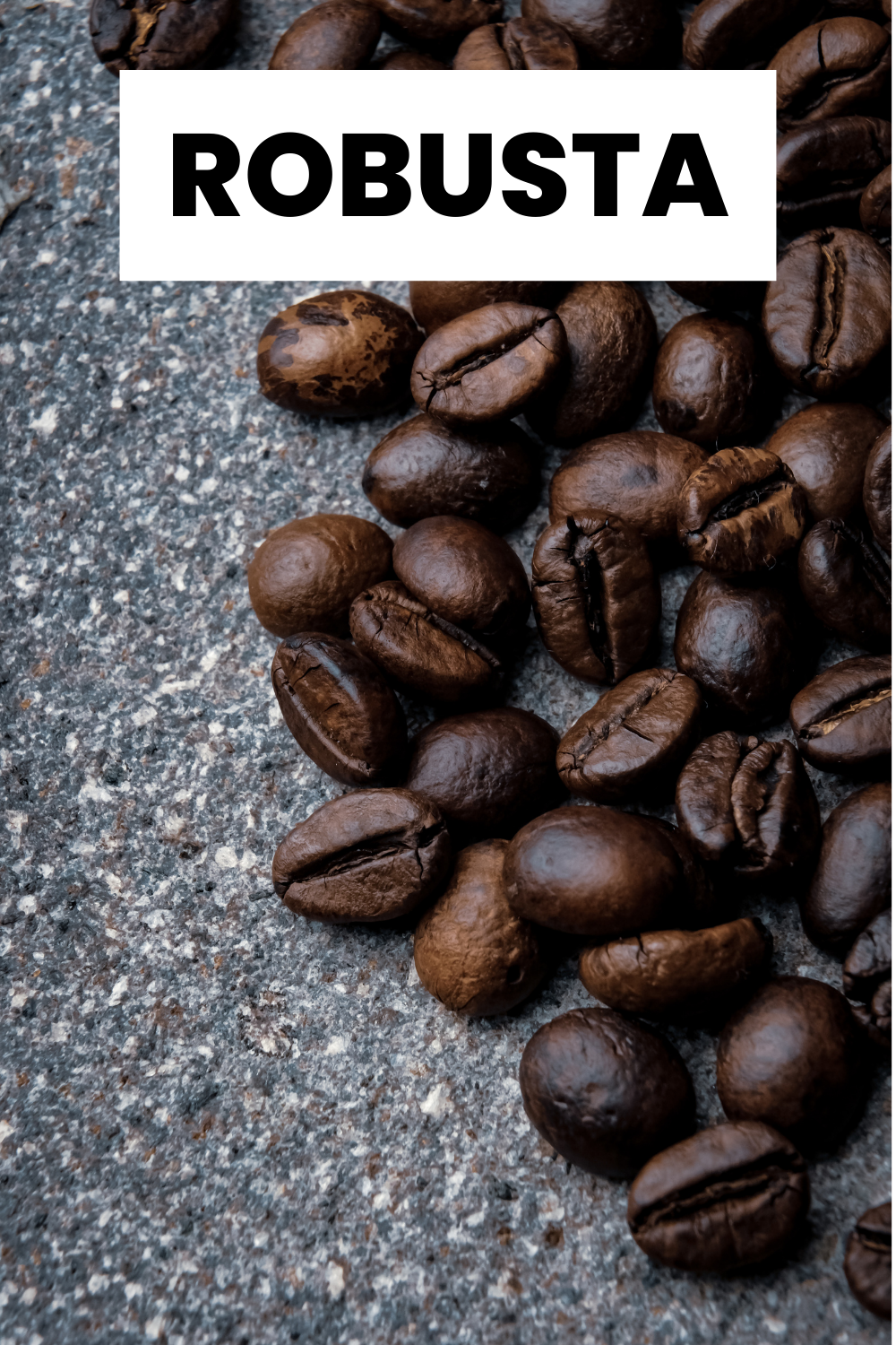 4 Types Of Coffee Beans And How To Choose Between Them