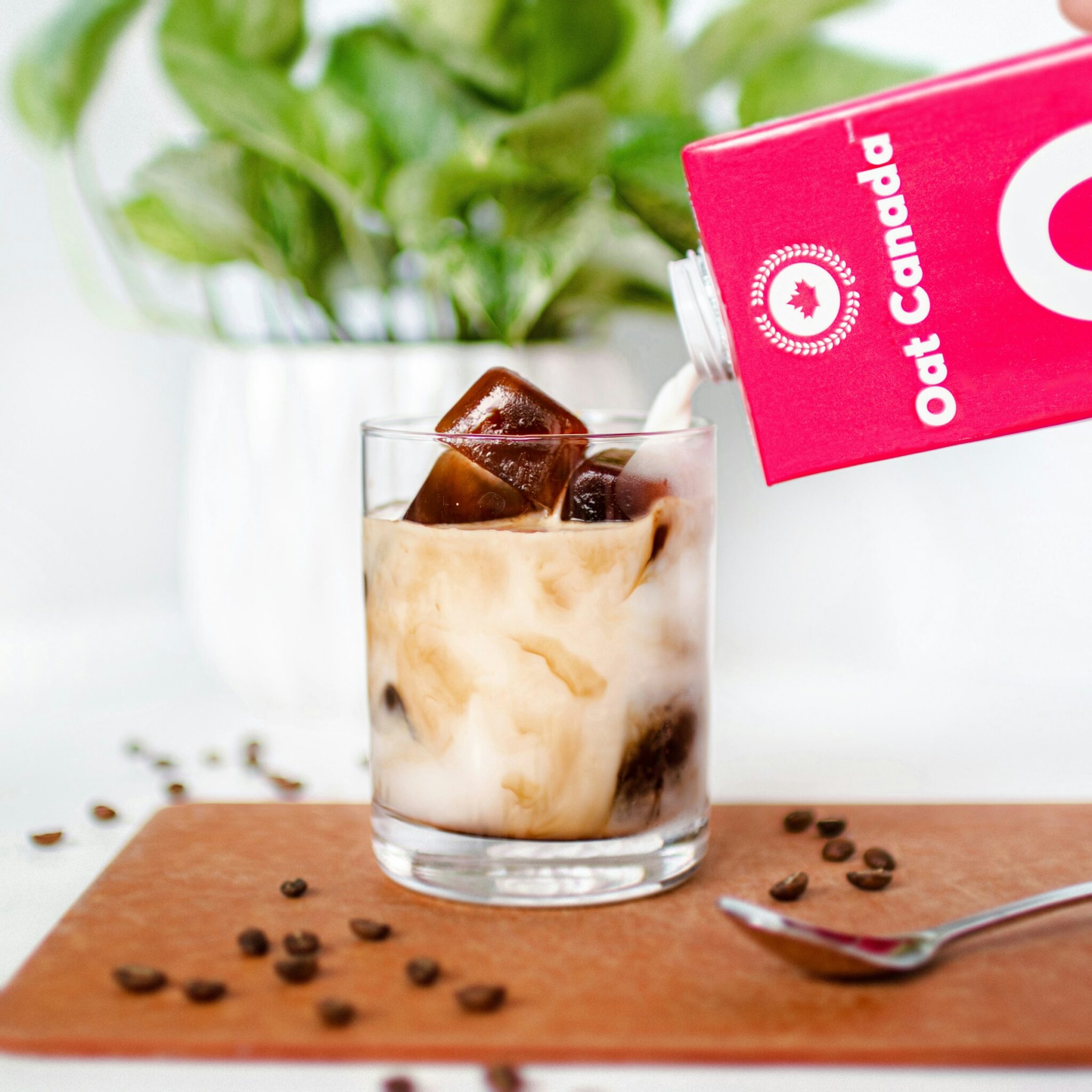 10 Flavorful Oat Milk Latte Recipes You Need to Make at Home