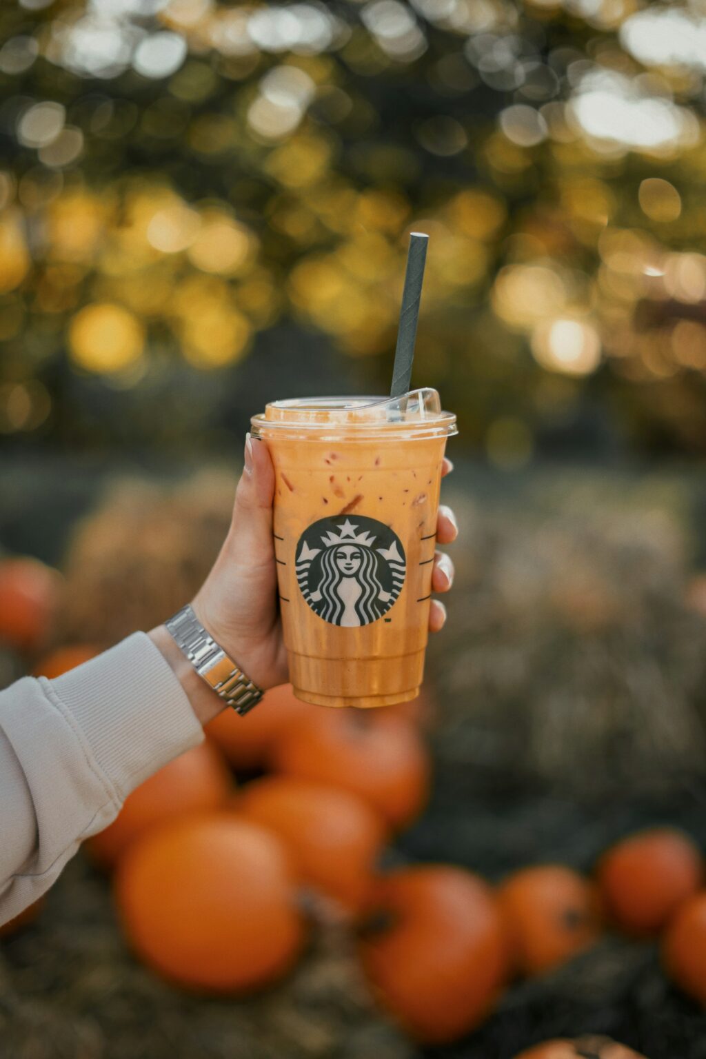 12 Must-Try Fall Starbucks Drinks You Can't Miss