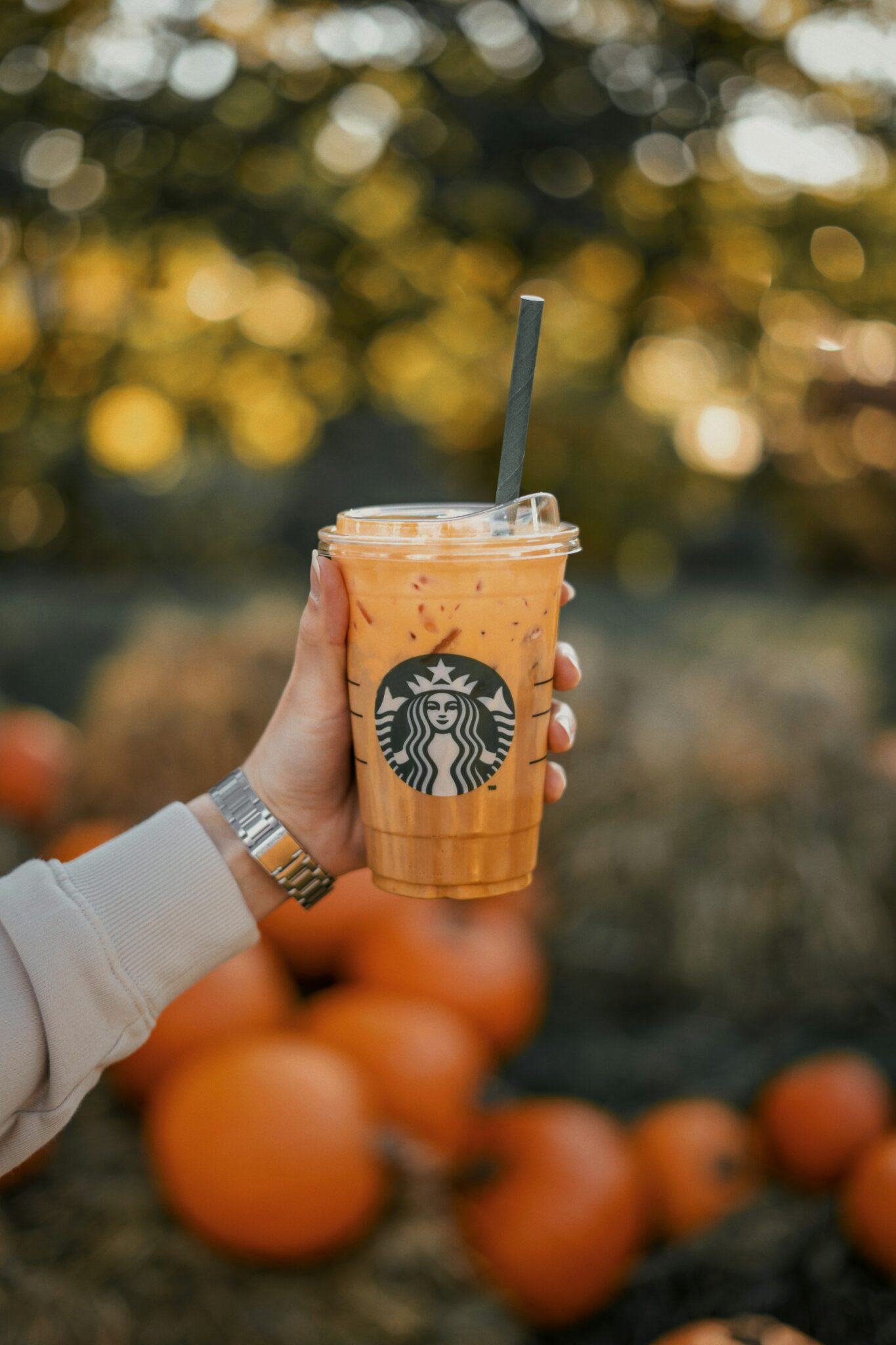 12 Must-Try Fall Starbucks Drinks You Can't Miss